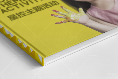 精装书籍-四川迎客松印务 - 四川迎客松印务